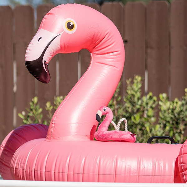 Flamingo Float – FolieLA